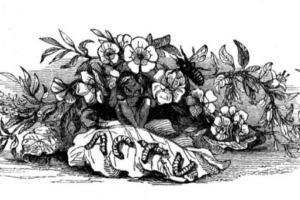 five-act structure - John Yorke Story